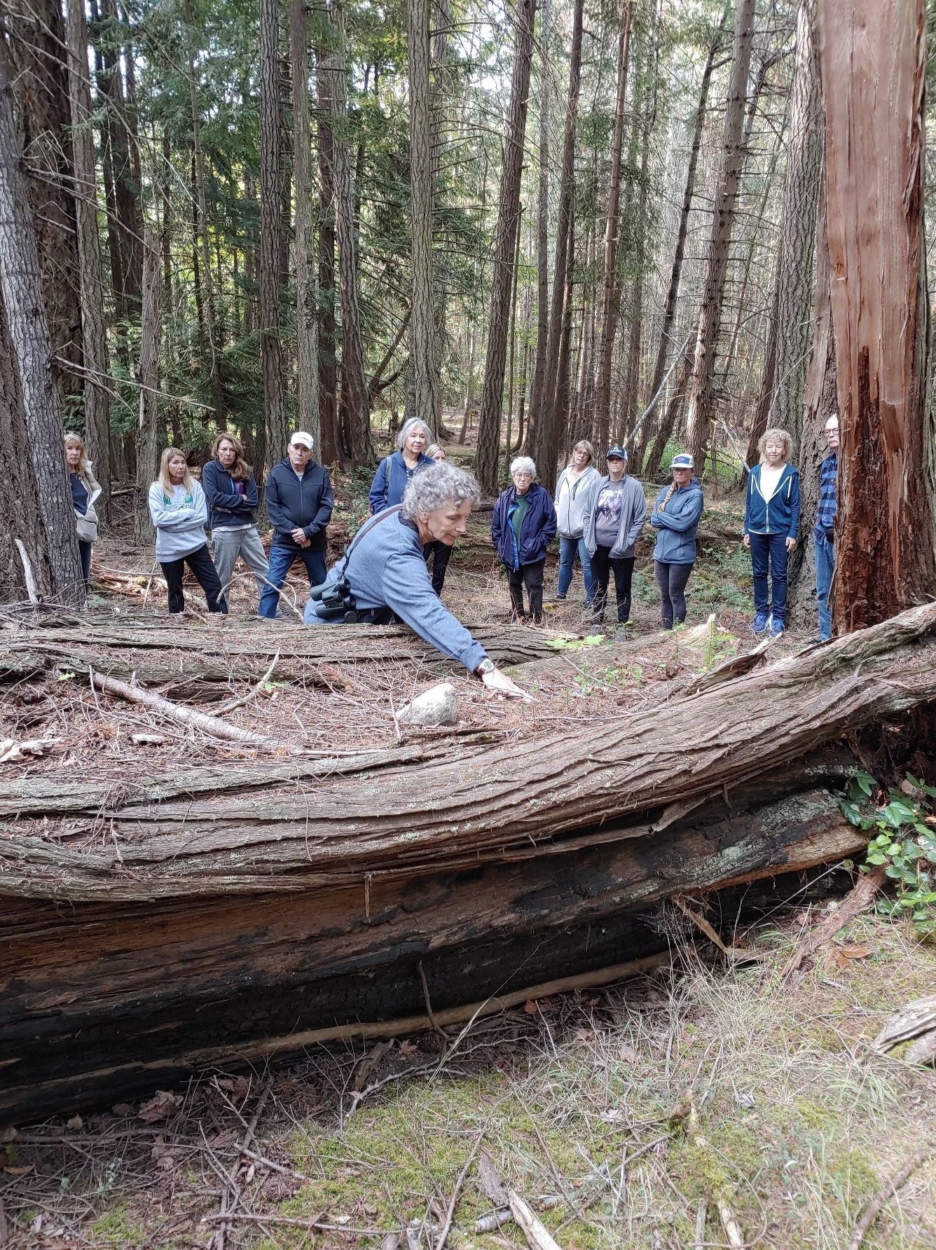 Screenshot – Crane Island Nature Preserve